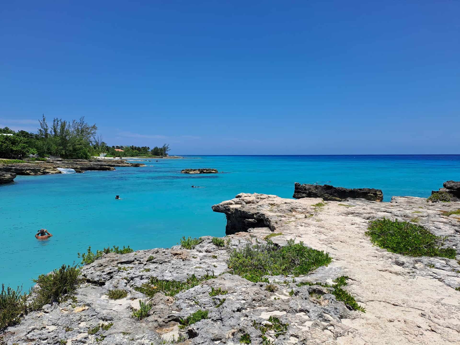 Exploring Smith Cove Grand Cayman: Reviewed With Pictures - AllWorld.com
