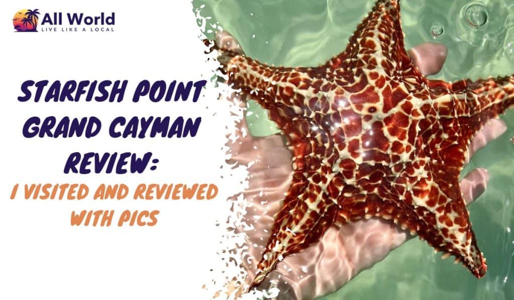 Blue Cilantro Cayman Review (Menu, Location, Reservations)