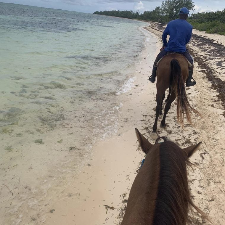 4 Best Beach Horse Riding Tours In Grand Cayman - AllWorld.com