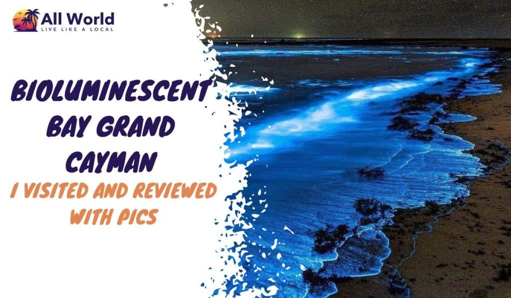 Coral Garden Grand Cayman Review: Reviewed With Pics - AllWorld.com