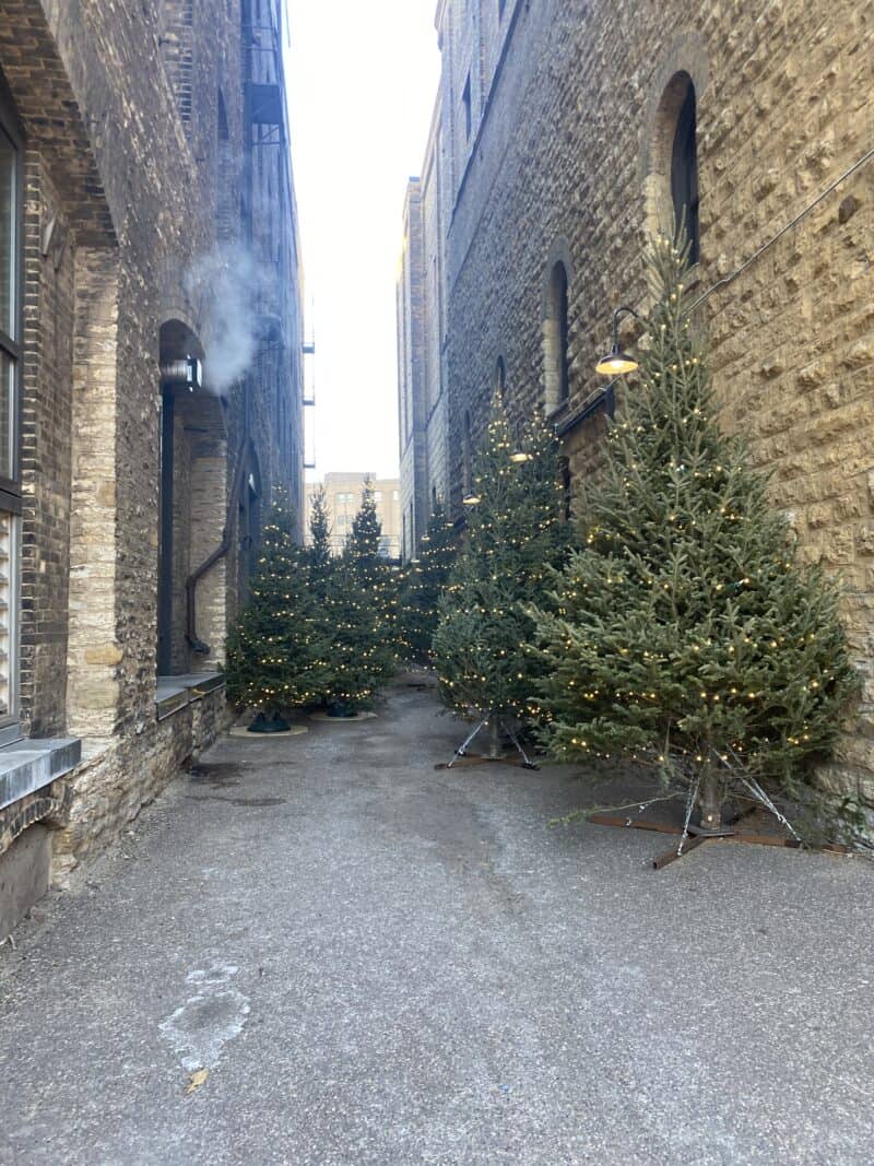 North Loop Minneapolis: A Neighborhood Guide - AllWorld.com