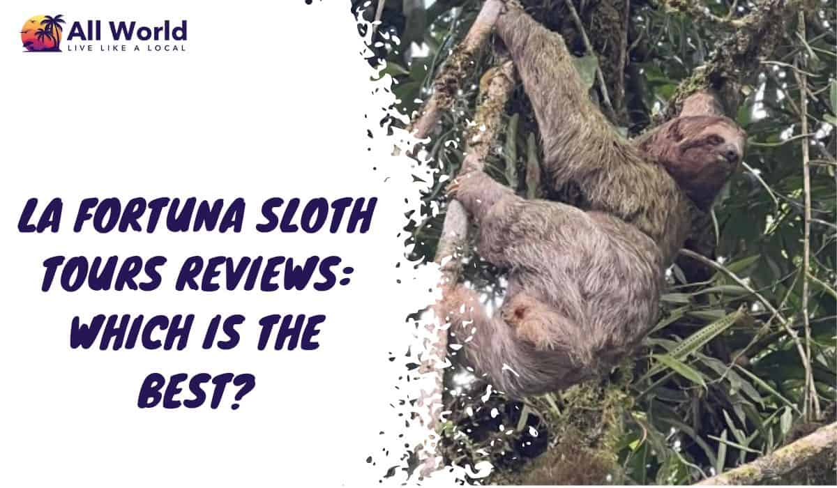 La Fortuna Sloth Tours Reviews: Which Is The Best? - AllWorld.com
