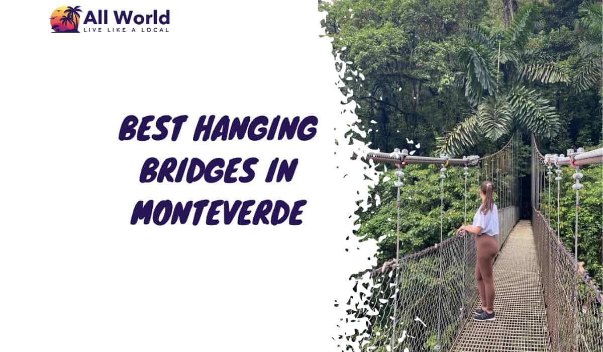 Best Hanging Bridges In Monteverde - AllWorld.com