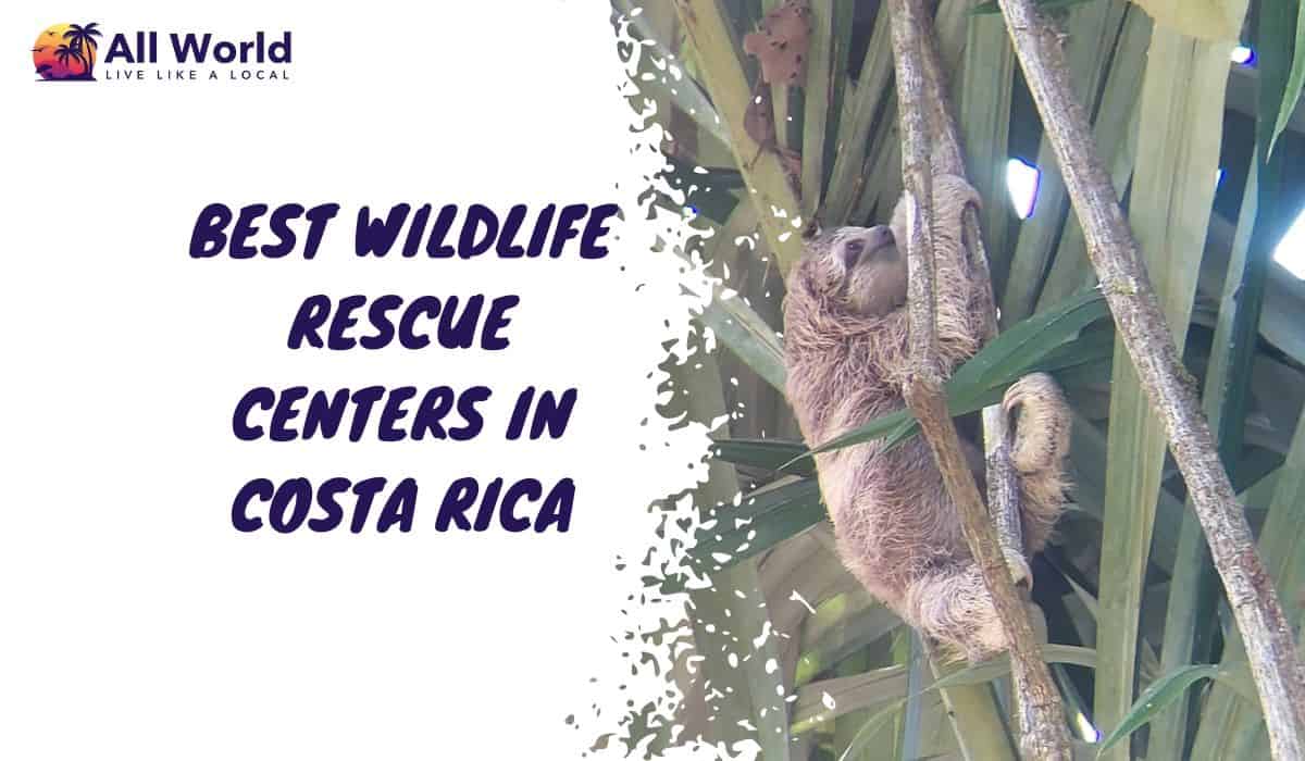 Best 8 Wildlife Rescue Centers In Costa Rica (Honest Review) - AllWorld.com