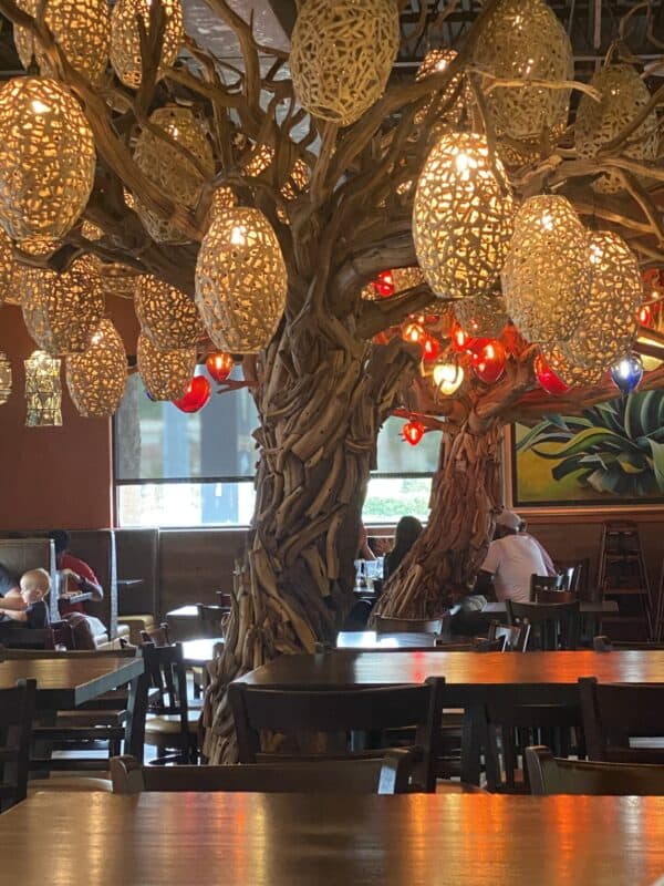 Restaurants Near UCF Campus in Orlando, Florida