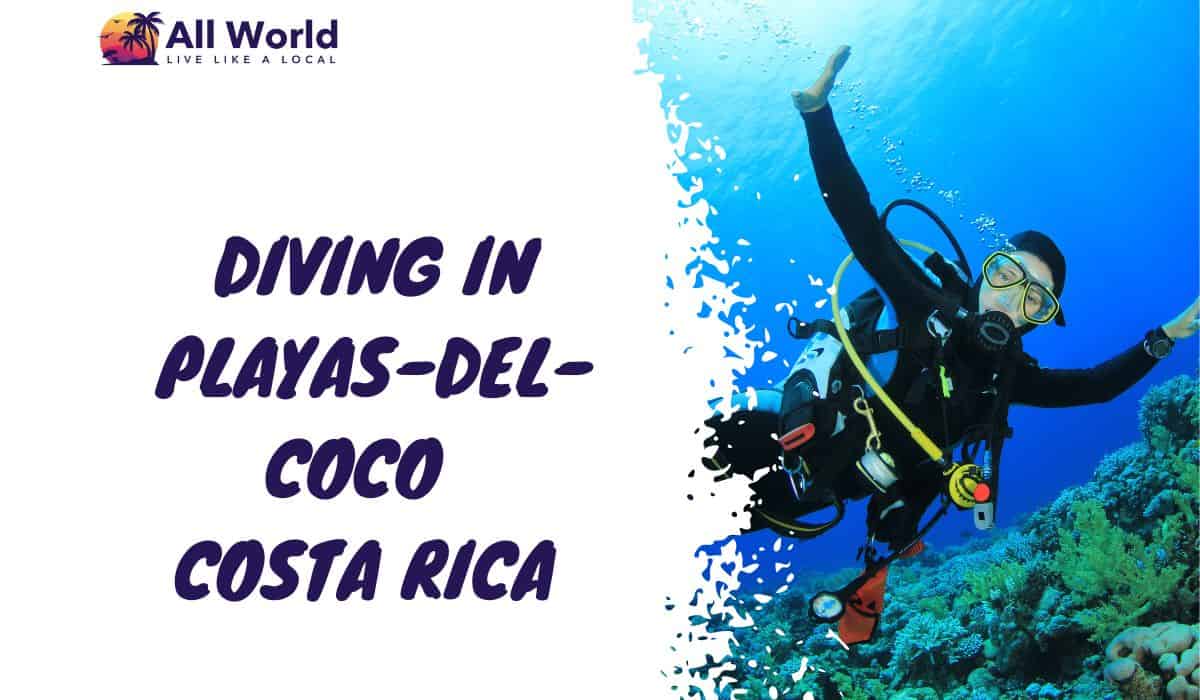 A Full Guide To Diving in Playas-del-Coco