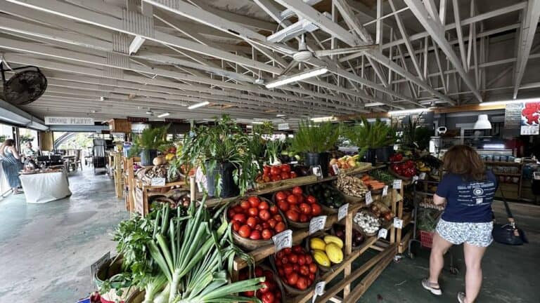 Your Ultimate Guide to Farmers Markets in Fort Lauderdale - AllWorld.com