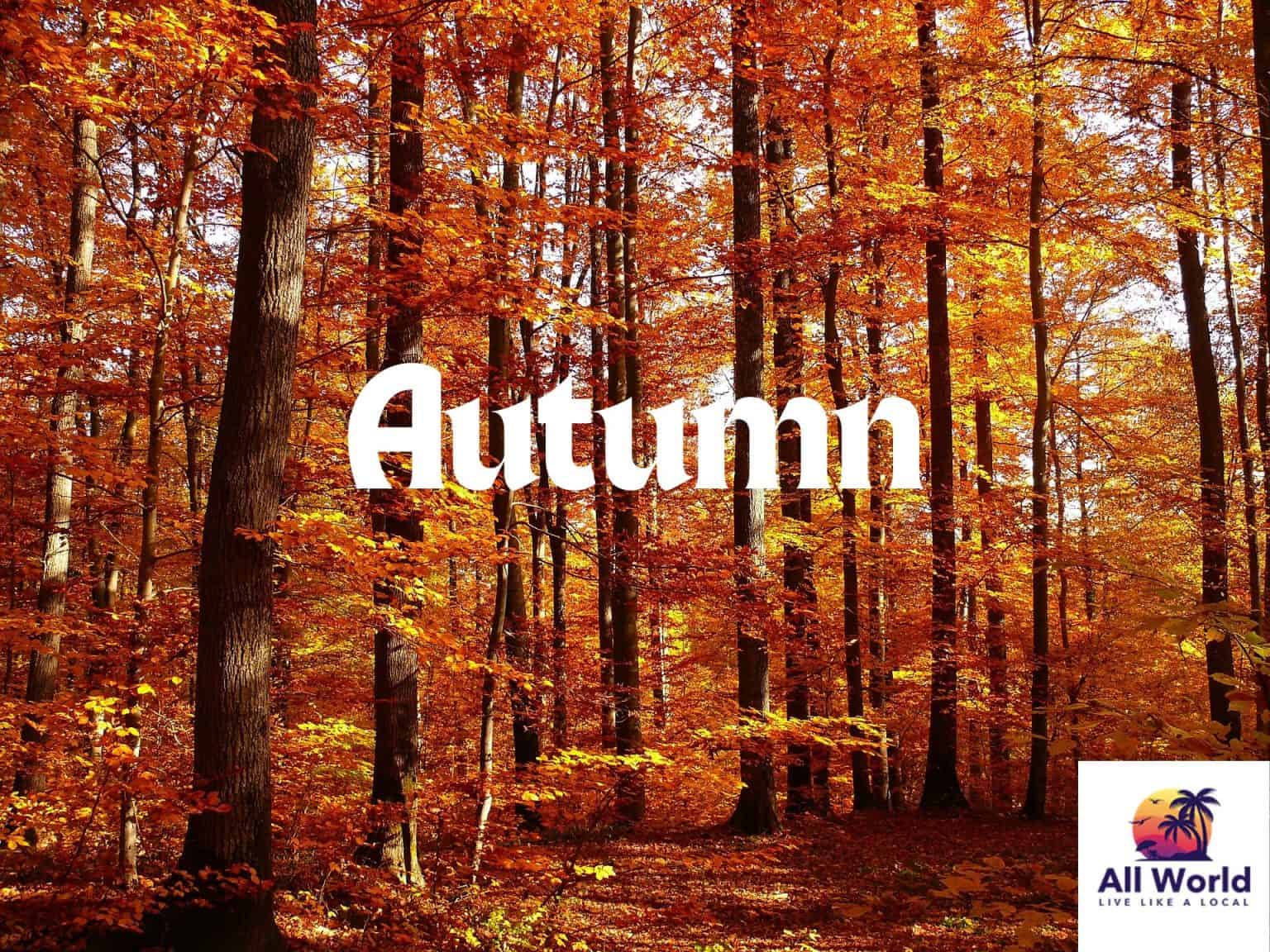 Best Time to Travel: Your Guide to Perfect Vacation Planning