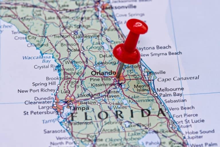 Best Time to Visit Florida (Local's Advice)