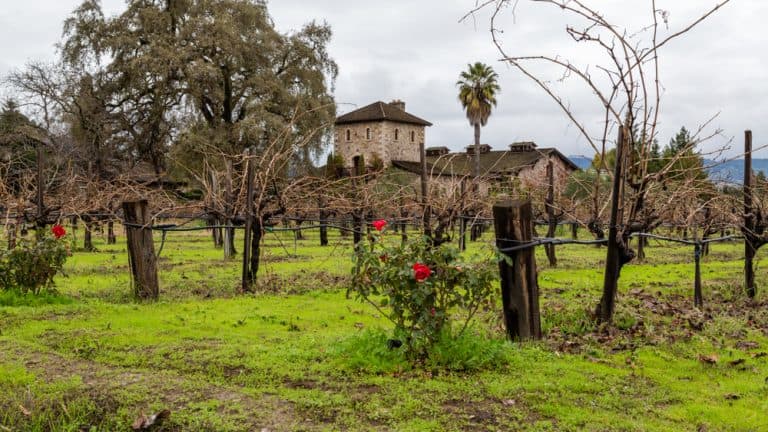 V Sattui Winery - A Napa Valley Experience!