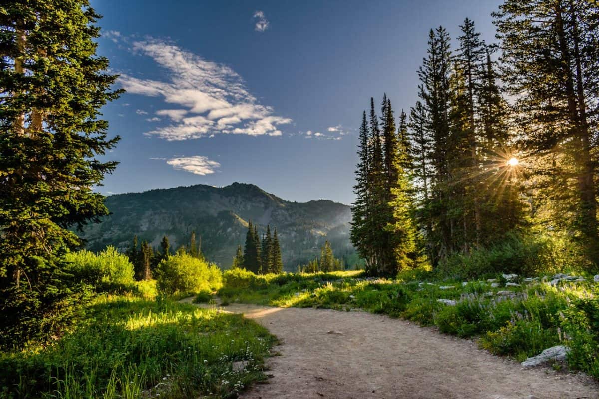 The perfect Las Vegas to Salt Lake City road trip you need to try ...